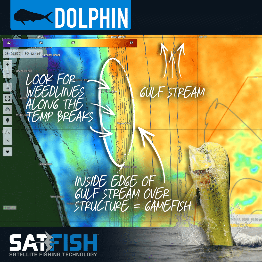 How To Catch Dolphin Using SatFish Charts