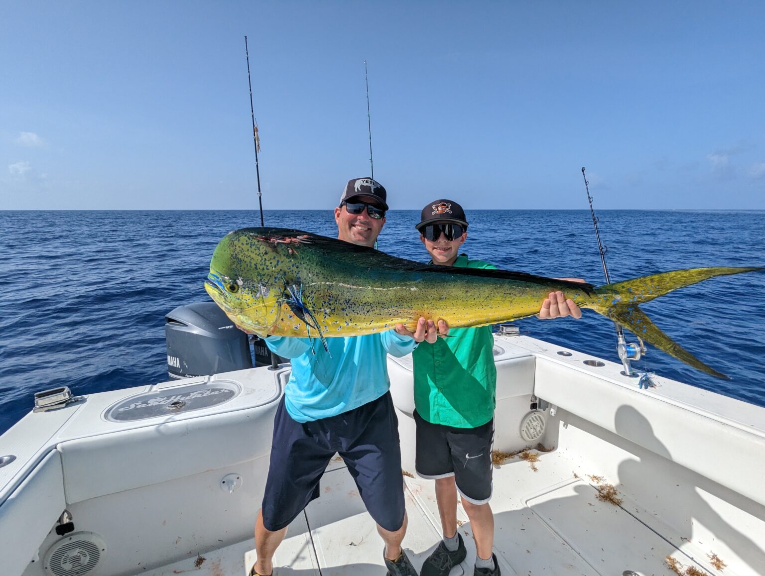 Species Profile – Mahi-Mahi